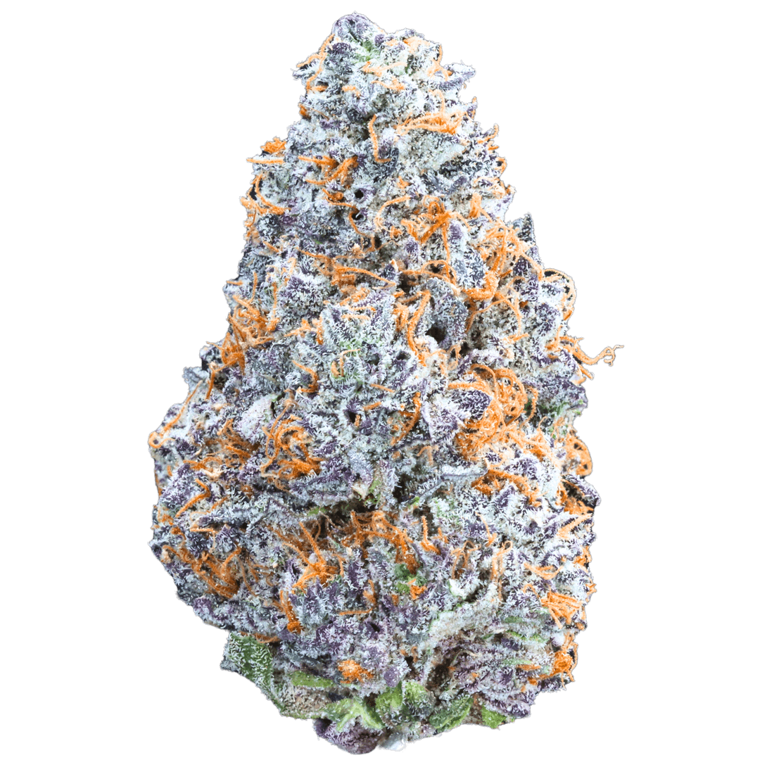 Domestic BC Hash - Premium Cannabis Concentrate | VanCity Labs