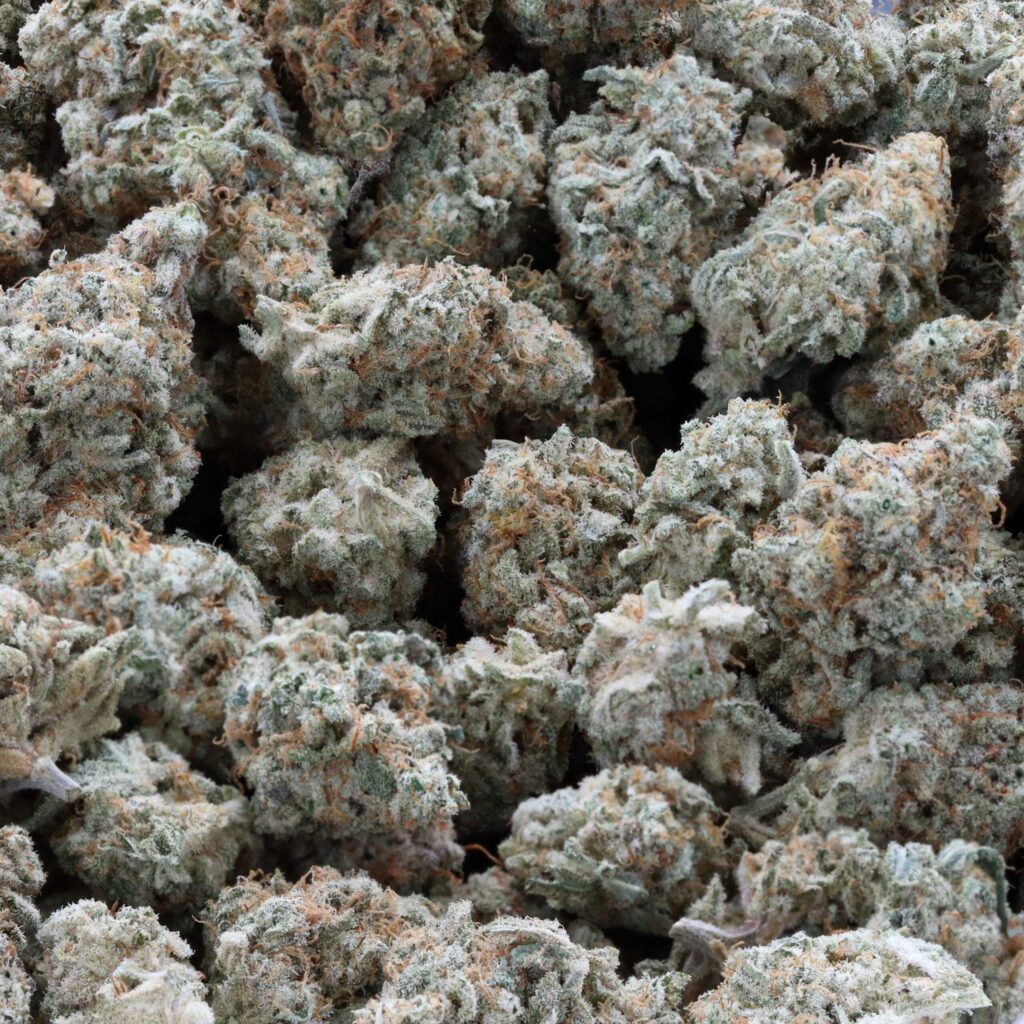 Cannalean THC Syrup - Cannabis-Infused Syrup | VanCity Labs