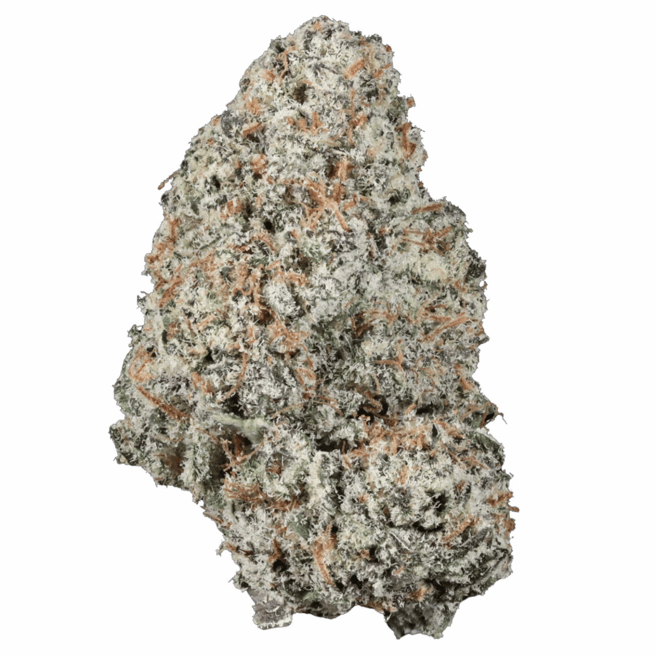 Premium Flower Mix & Match Half Pound - Buy 8 Ounces & Save! - Craft ...