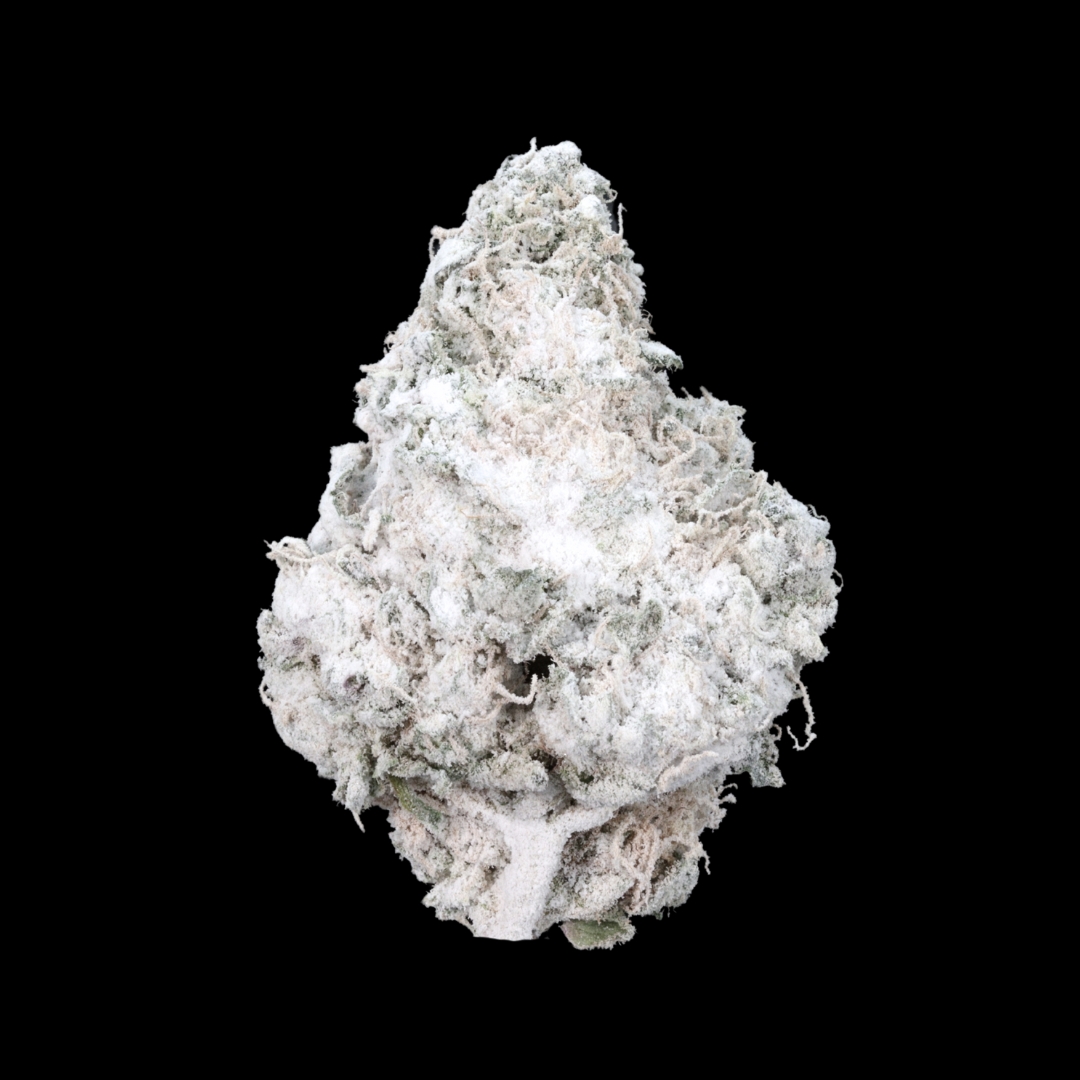 Dispensary Vancouver – Premium Cannabis & Affordable Weed | VanCity Labs