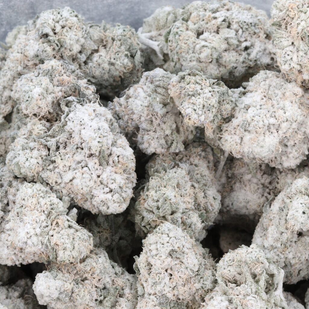 THCa Snowballs - Ice Cream Cake Strain | Infused Weed
