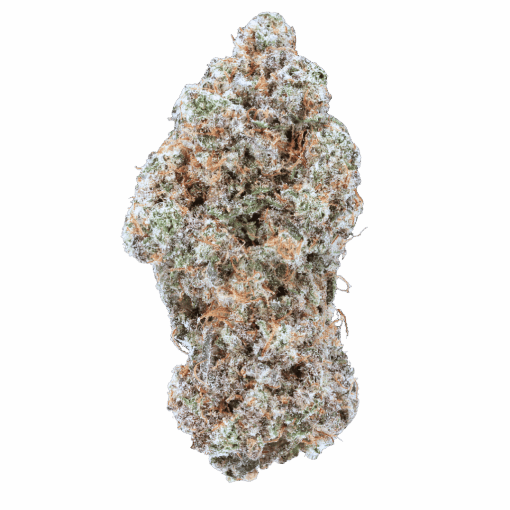 Alien Cookies Strain | Buy Cheap Weed Online Canada
